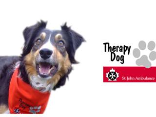 therapy dog alberta