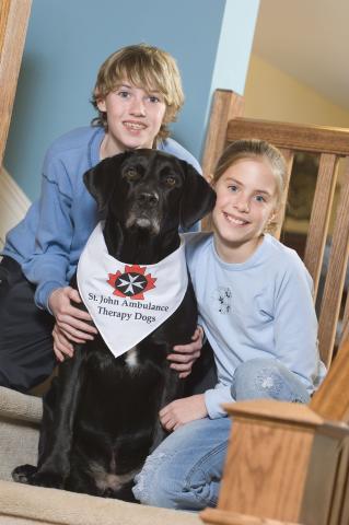 Therapy Dog | Become a Volunteer | St. John Ambulance